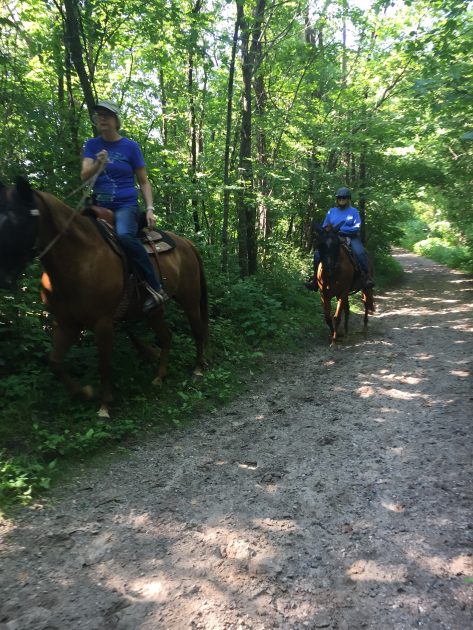 img_1569 – Wandering Pine