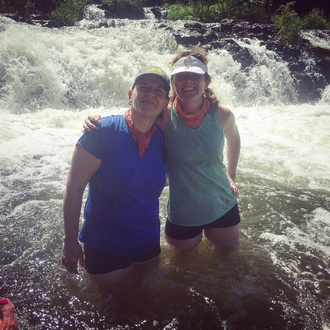 IMG_1710 – Wandering Pine