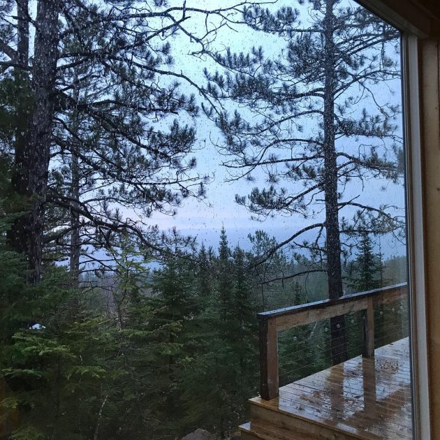 IMG_4351 – Wandering Pine