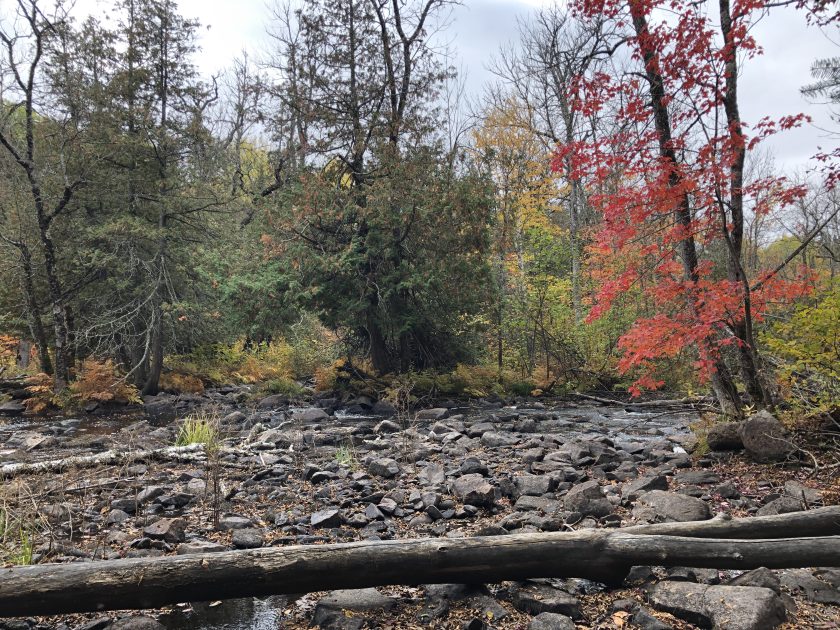 Fall Backpacking in the BWCA | Sioux Hustler Trail: Part 1 – Wandering Pine