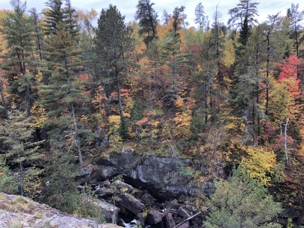 Fall Backpacking in the BWCA | Sioux Hustler Trail: Part 1 – Wandering Pine