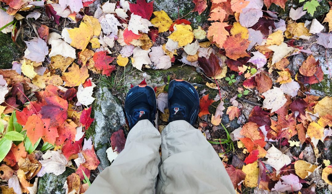 Fall Backpacking in the BWCA | Sioux Hustler Trail: Part 1 – Wandering Pine